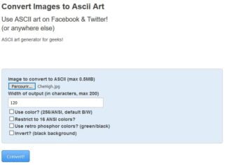Ce site permet de convertir n'importe quelle image en art ASCII
