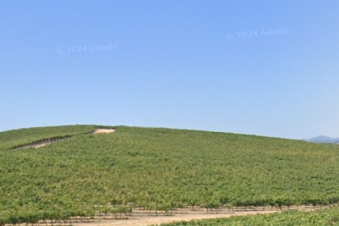 Colline de Windows XP : Découvrez sa transformation choquante