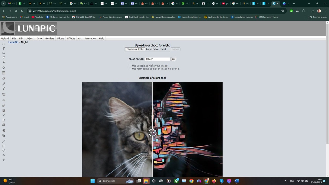 Lunapic: the online photo editor that simplifies retouching