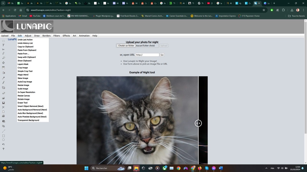 Lunapic: the online photo editor that simplifies retouching
